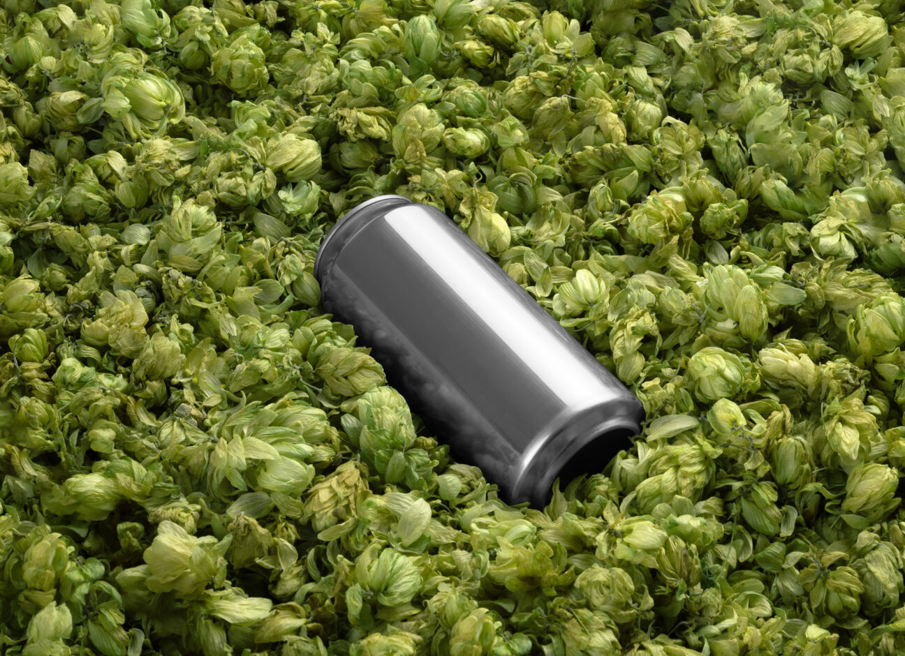 12 Oz Can Mockup - GraphicsBunker