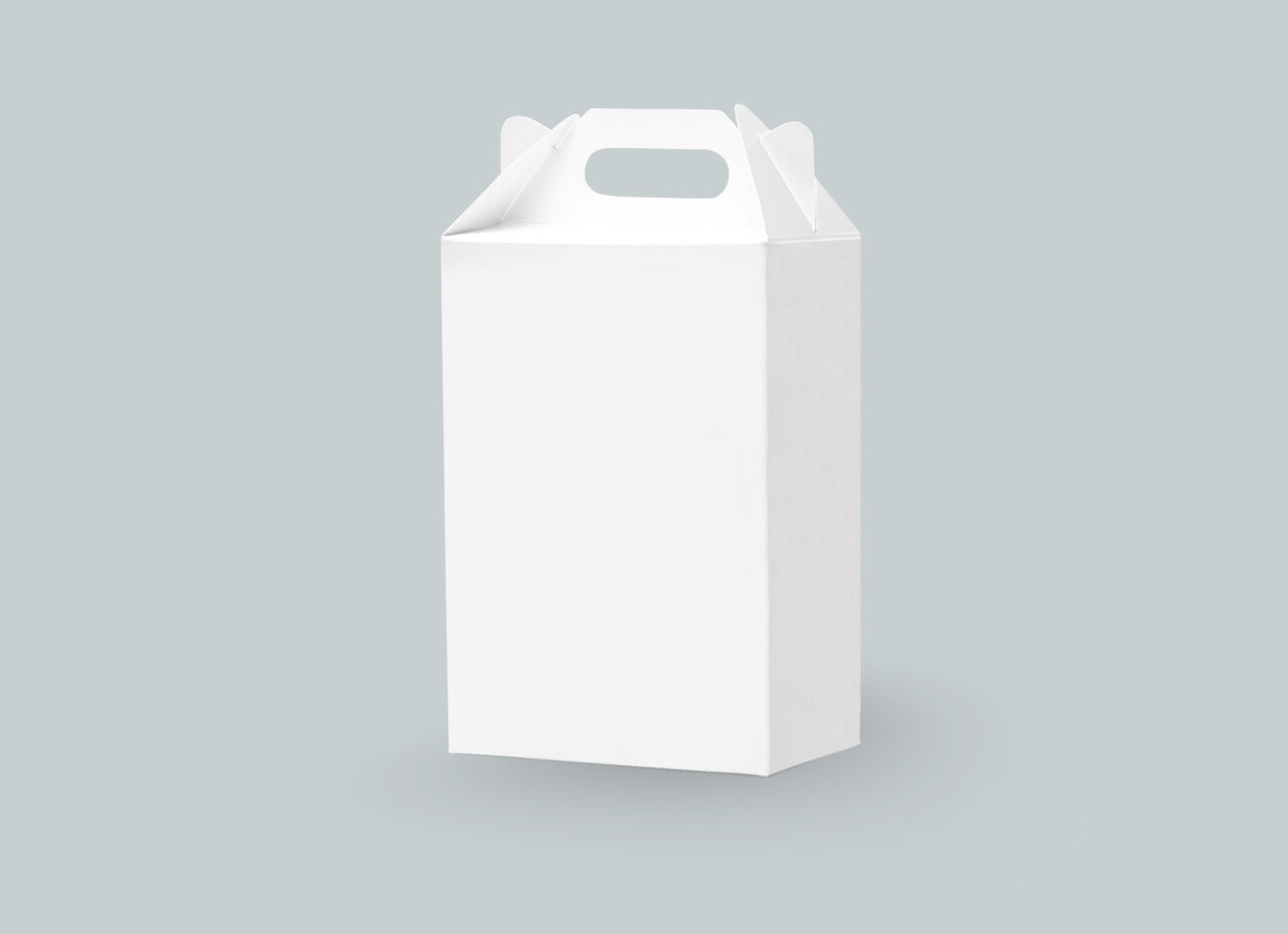 Gable Box Mockup - GraphicsBunker