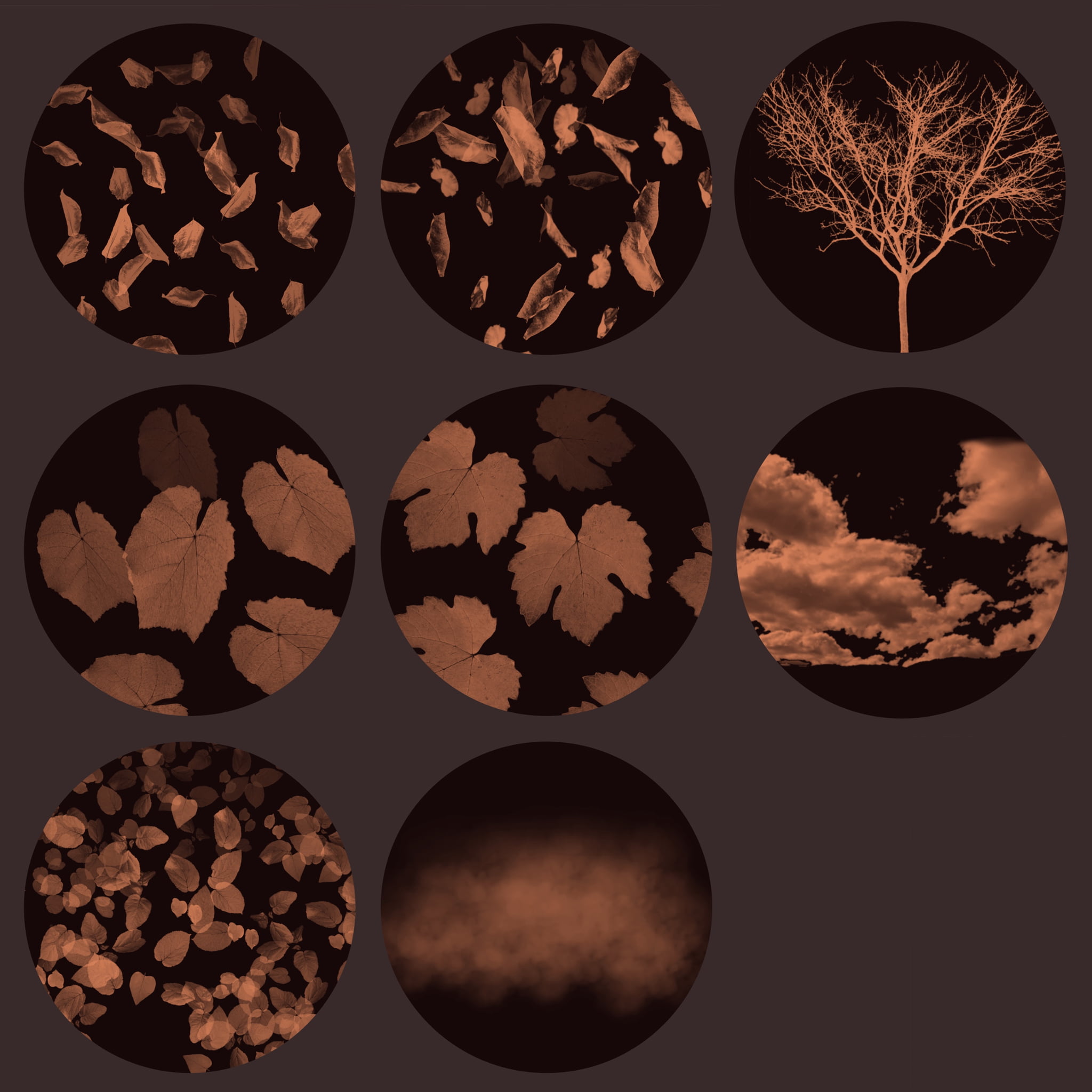 Autumn Leaves Procreate Brushes - GraphicsBunker