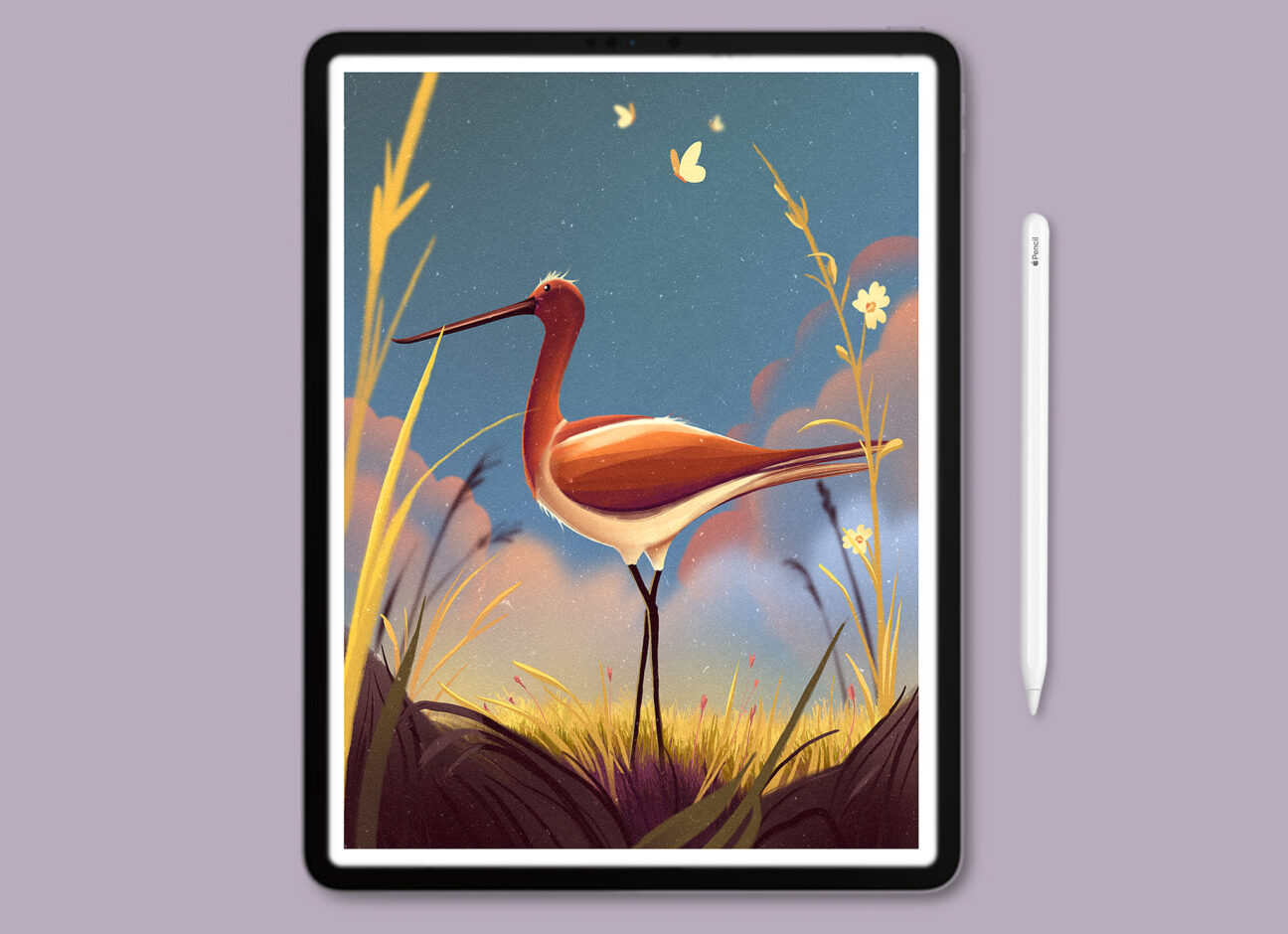 Landscape Avocet Drawing Tutorial - GraphicsBunker