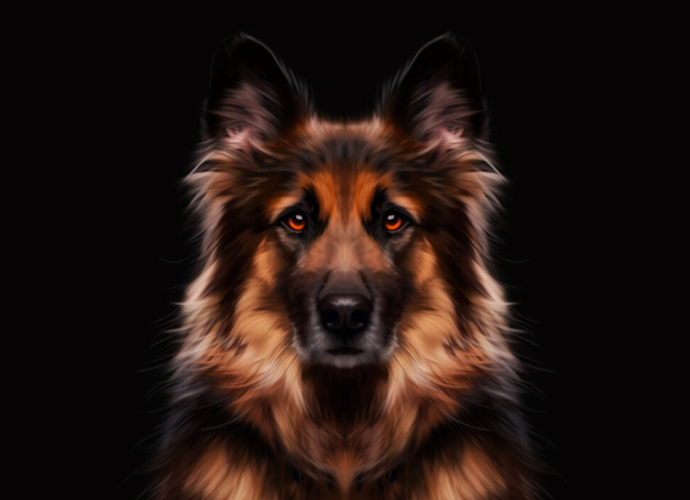 Smudge Procreate Brushes + Tutorial - GraphicsBunker