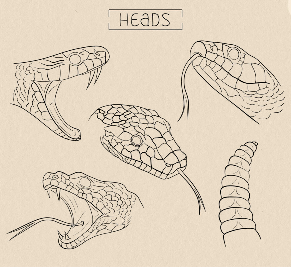 Snake Tattoo Brushes Procreate - GraphicsBunker