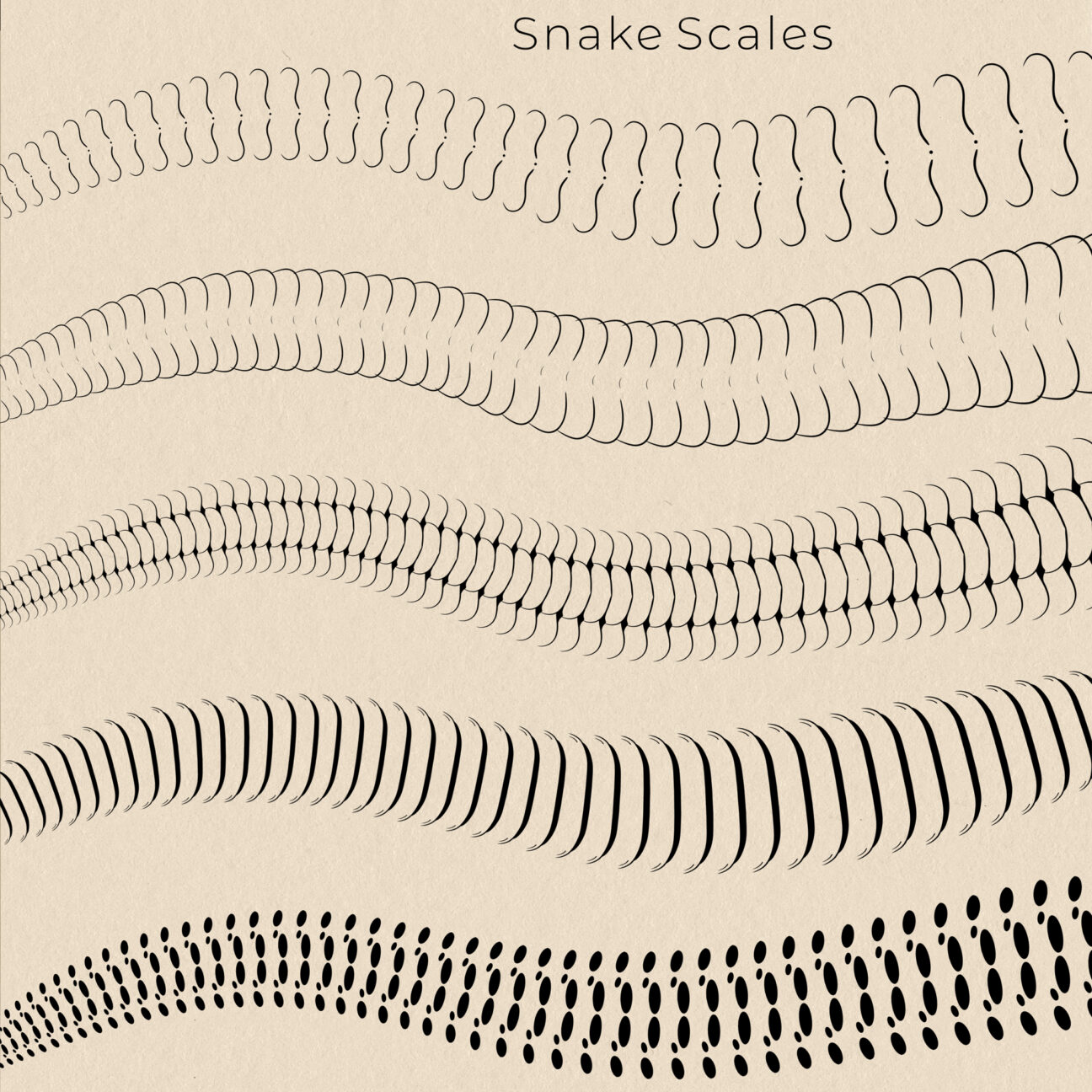 Snake Tattoo Brushes Procreate - GraphicsBunker