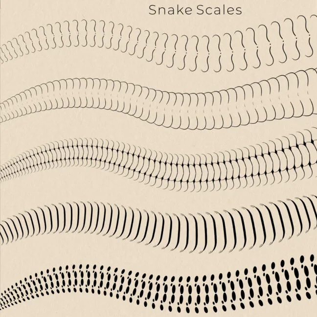 Snake Tattoo Brushes Procreate - GraphicsBunker