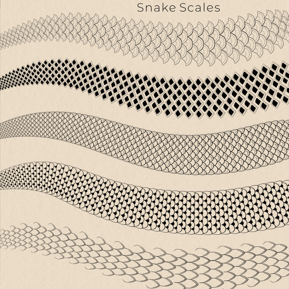 Snake Tattoo Brushes Procreate - GraphicsBunker