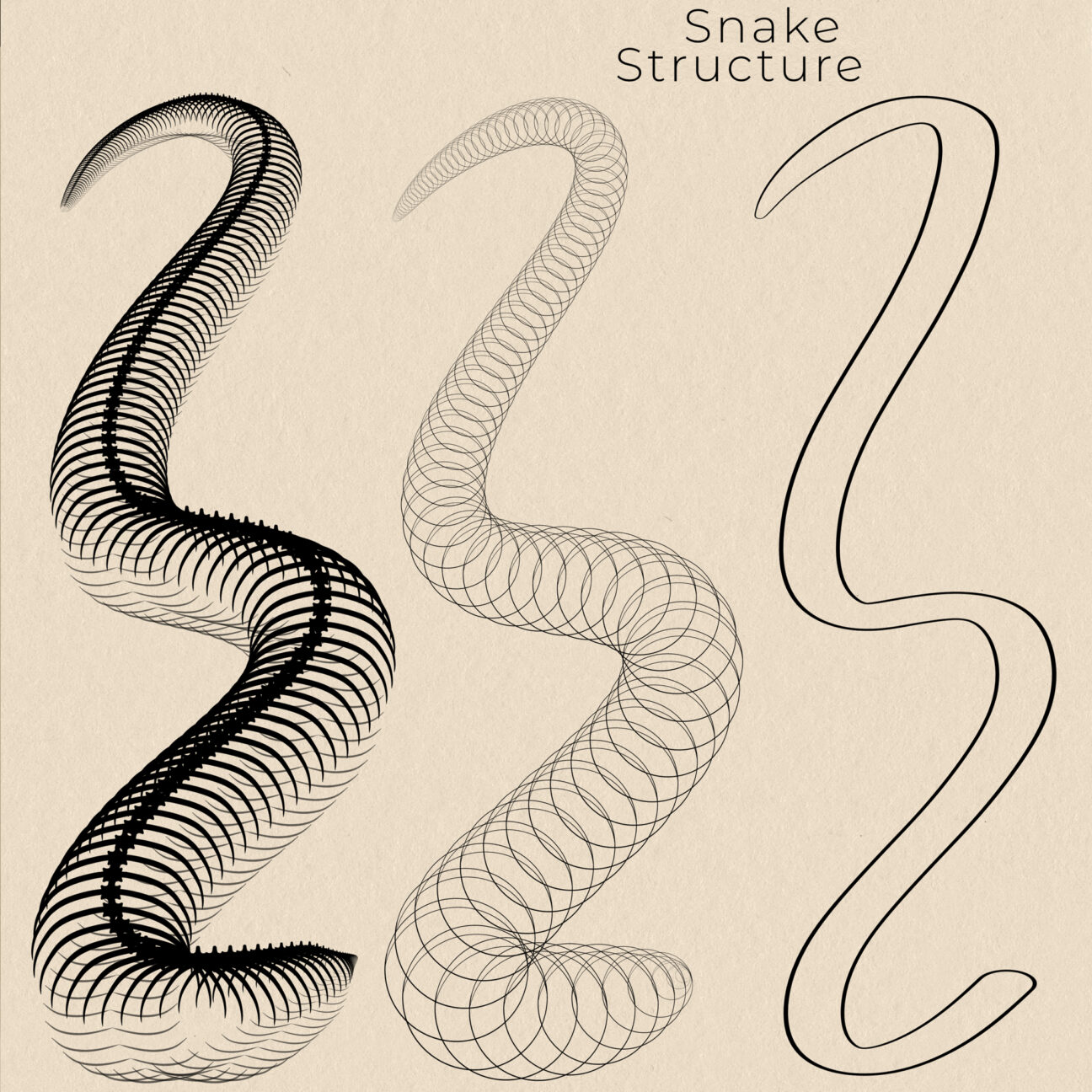 Snake Tattoo Brushes Procreate - GraphicsBunker